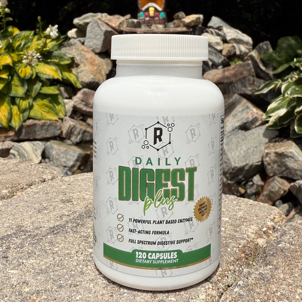 Daily Digest Plus: 60 Servings, Fast-Acting! – Rehab Supplements Lab®